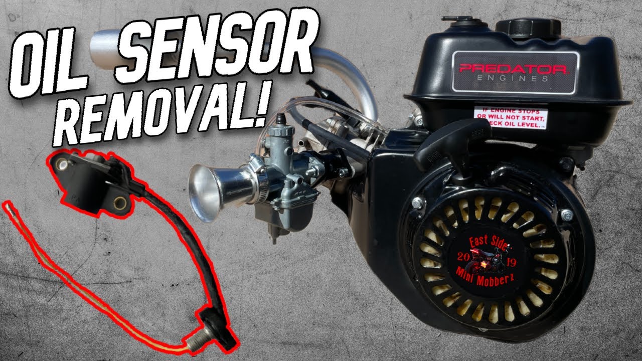 How to Remove the Oil Sensor on a Predator 212 Engine - YouTube