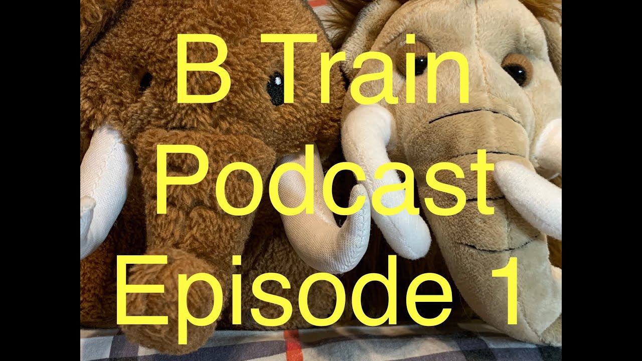 B Train Podcast Episode 1 - F&%K You! We're NOT Elephants! #btrain # ...