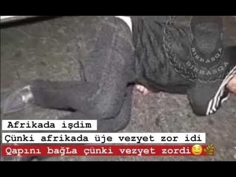 vezyet zordi