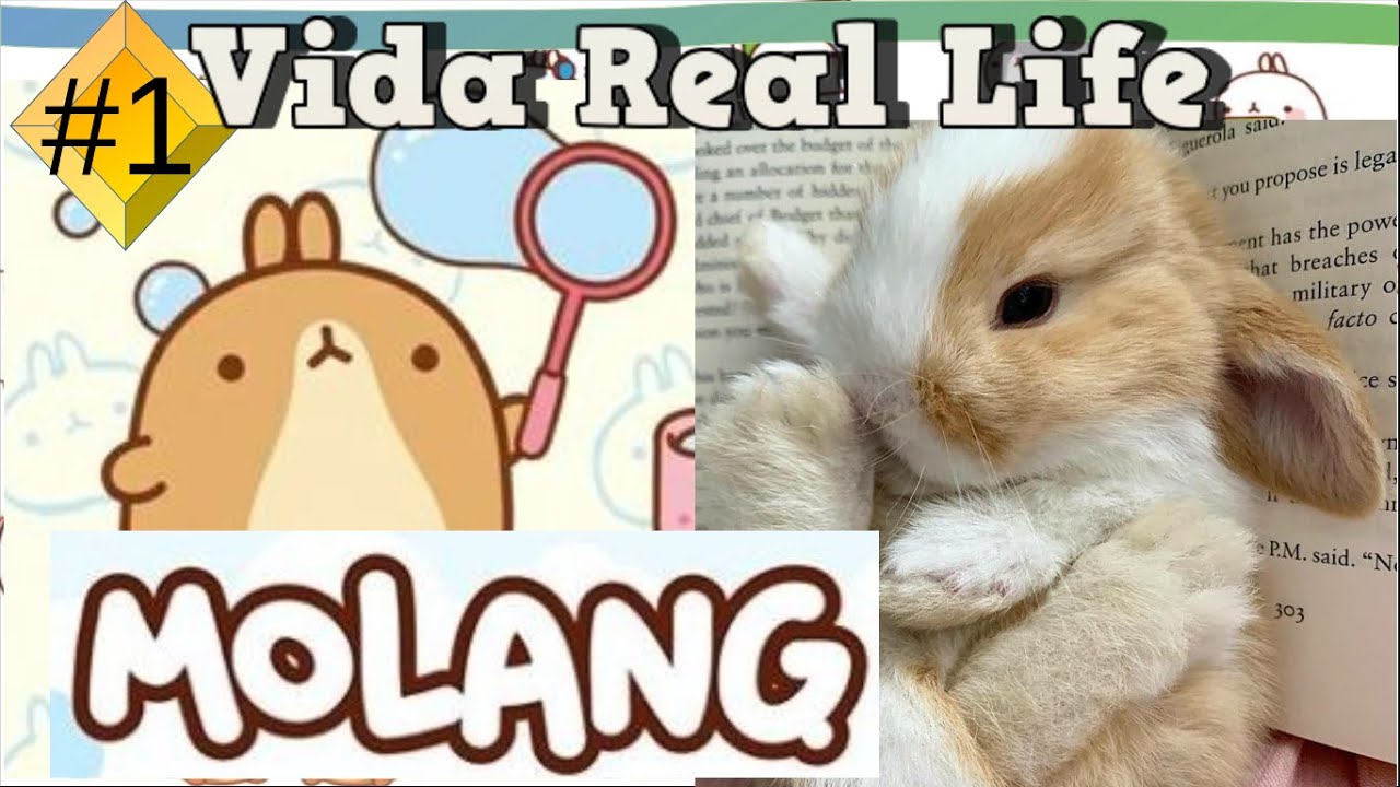 #1 MOLANG y PIU PIU Vida Real / Real Life MOLANG and PIU PIU - YouTube