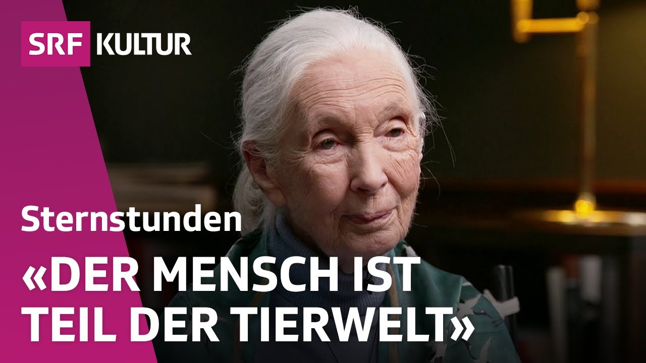 Jane Goodall, was unterscheidet uns vom Schimpansen? | Sternstunde ...