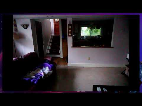 kitty cam 96