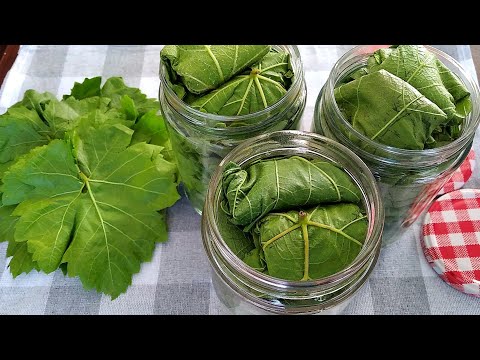 Garantili asla bozulmayan yöntem Kuru yaprak basımı📢‼️ #salamurayaprak #asmayaprağı #yaprakbasimi