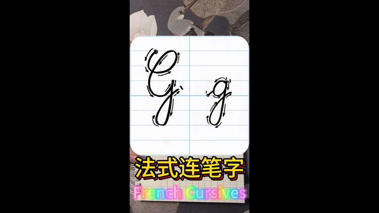 法式连笔字字母Gg / French Cursives Gg / 沉浸式练字 / 英文花体 - YouTube