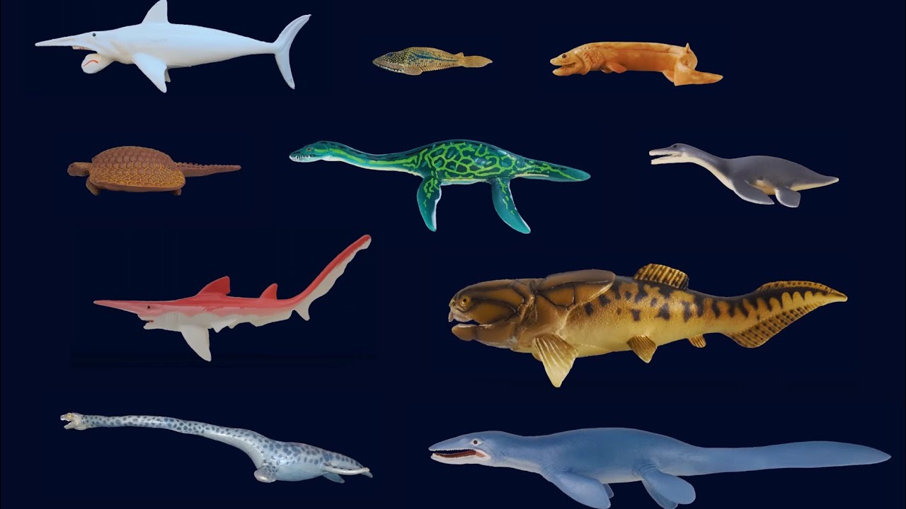 Prehistoric Sea Life Exclusive- @The Kids Picture Show - YouTube