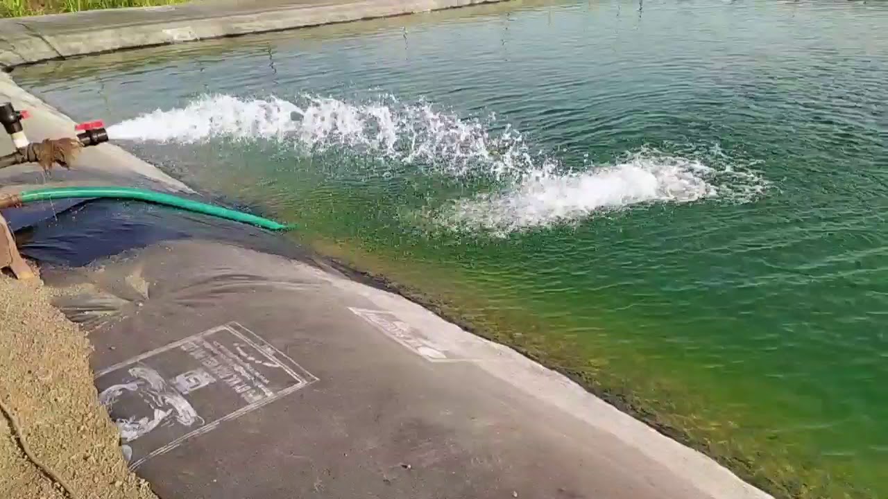 shet tale out let watter#ganeshharkal #shorts #shortvideo#shorts - YouTube