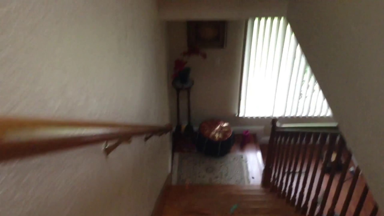 Dropping bouncy balls down the stairs👍 - YouTube