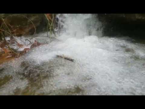 İnsana huzur veren su ve şelale sesi.