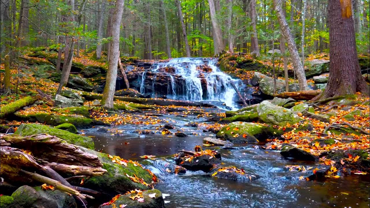 4k UHD Autumn Waterfall flowing Sound. Flowing Water, White Noise ...