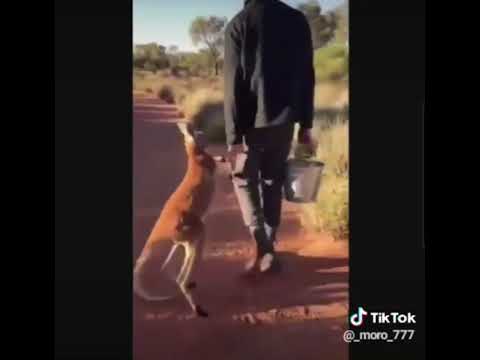 David boss - YouTube