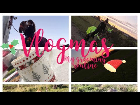 Vlogmas day 2 grooming routine |equine Livy|