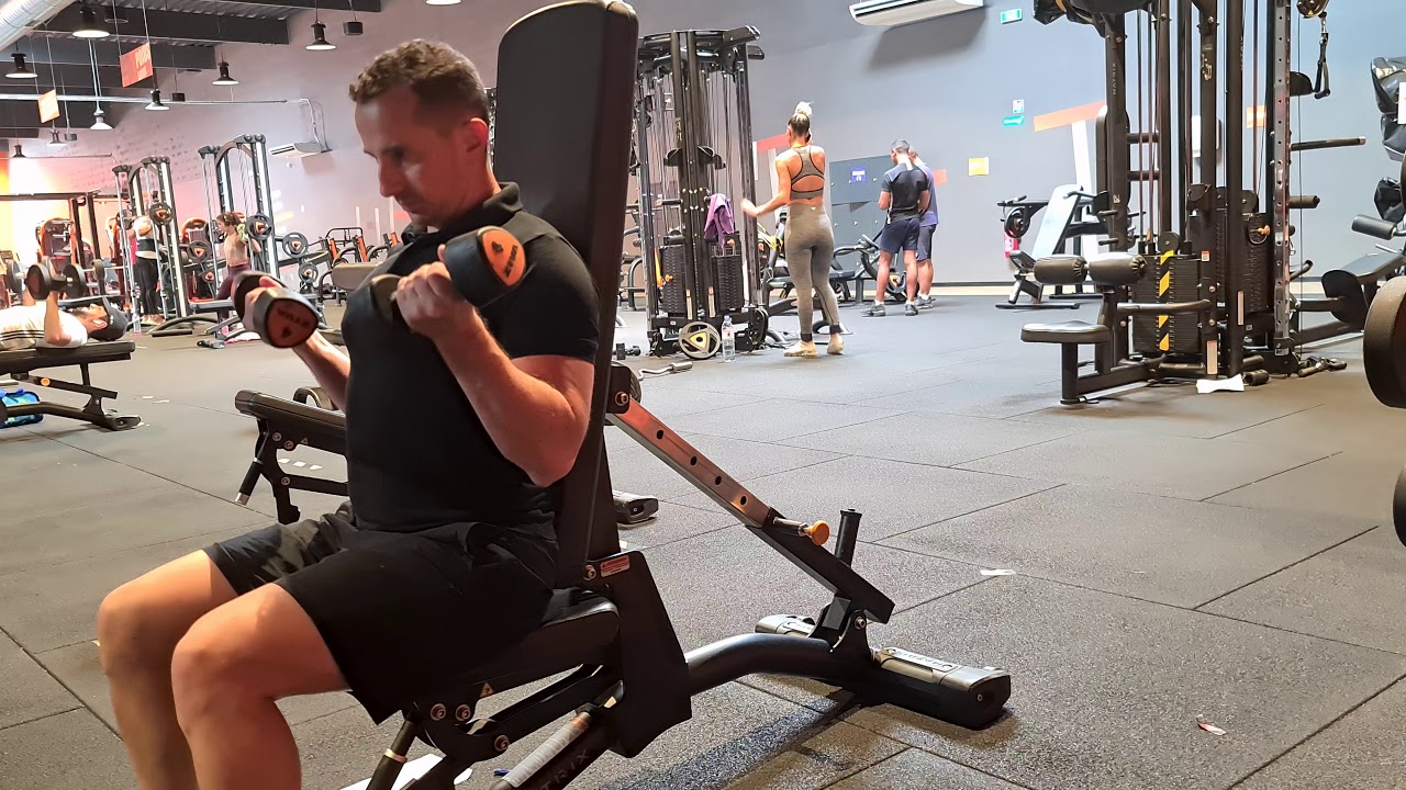 Curl haltere droit assis - YouTube