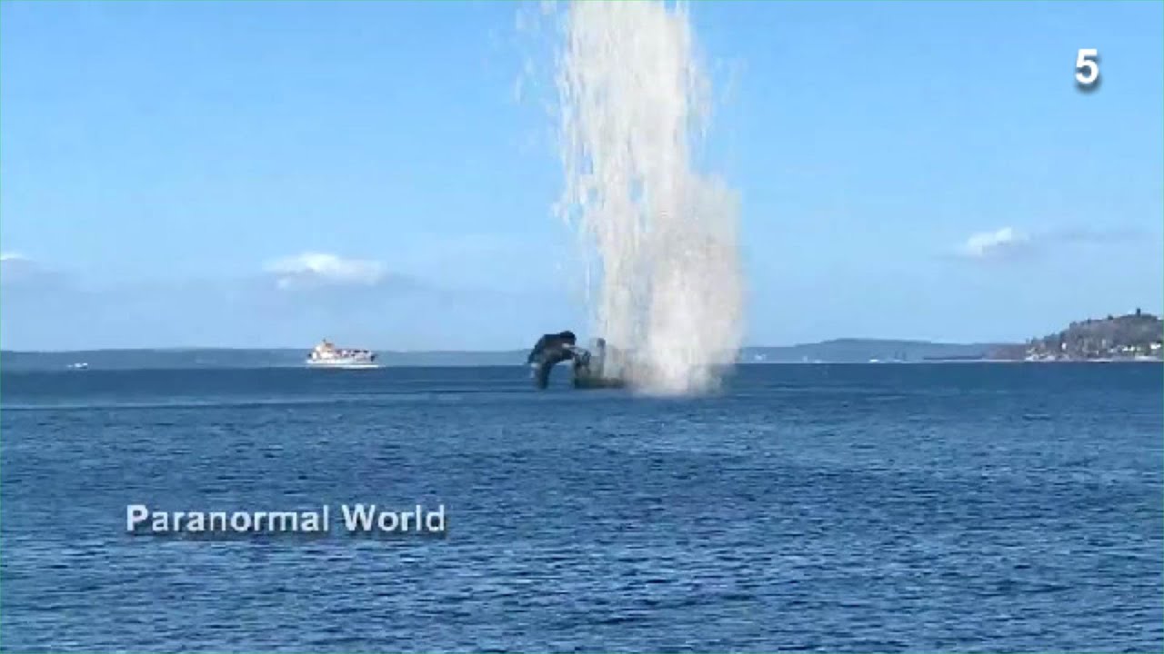 5 Sea Creature Sighting - Paranormal TOP 5 - YouTube