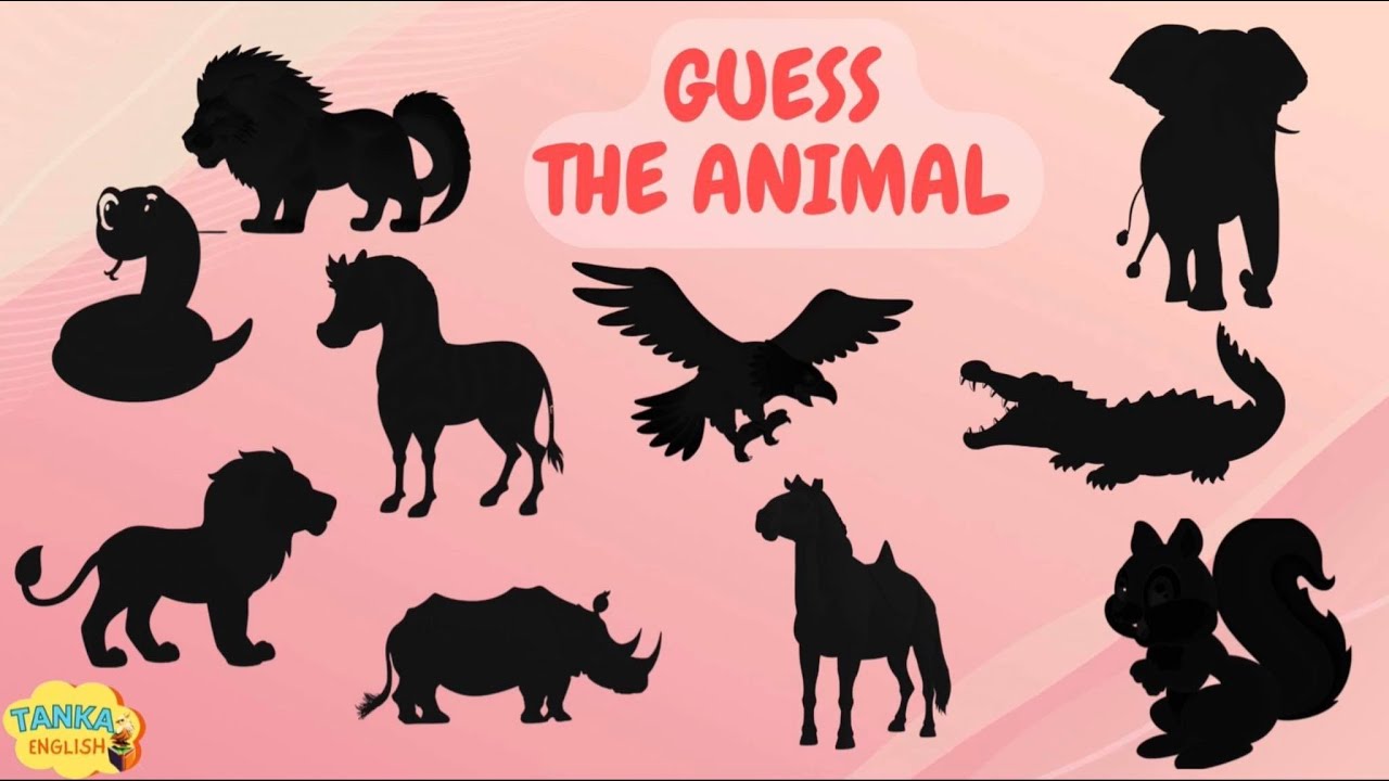 Guess The Animal - Guess The Animal by Shadow | by Tanka English - YouTube