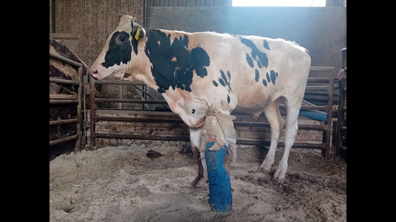 mesttank onderhoud, JD6820 onderhoud, mais update - YouTube