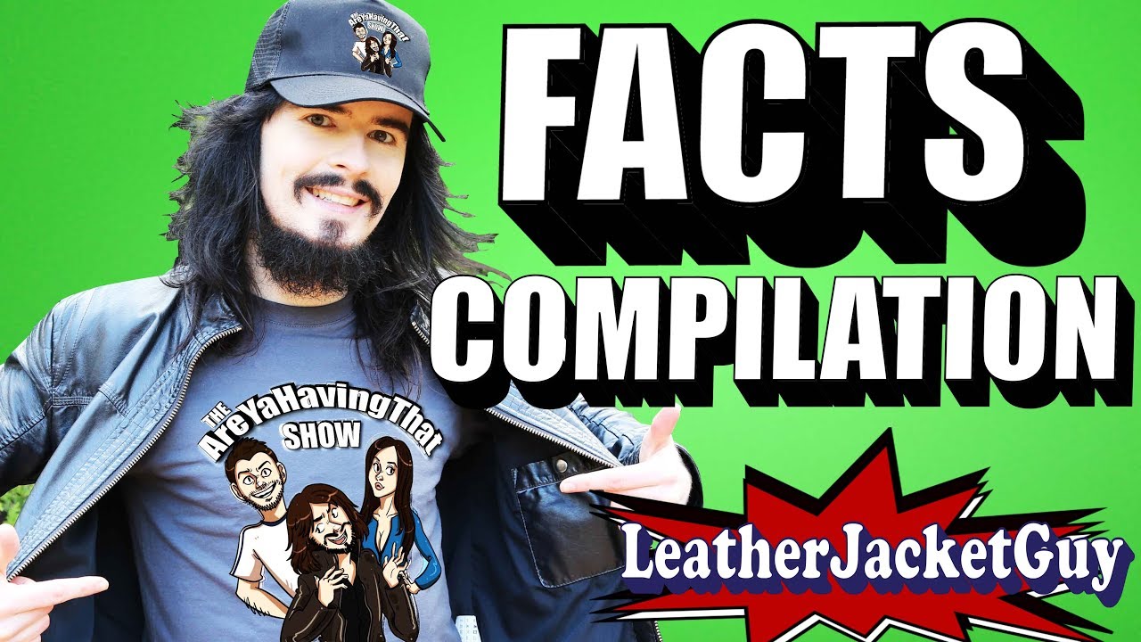 'LeatherJacketGuy' - FACTS & STASTEMENTS - Irish Try Channel ...