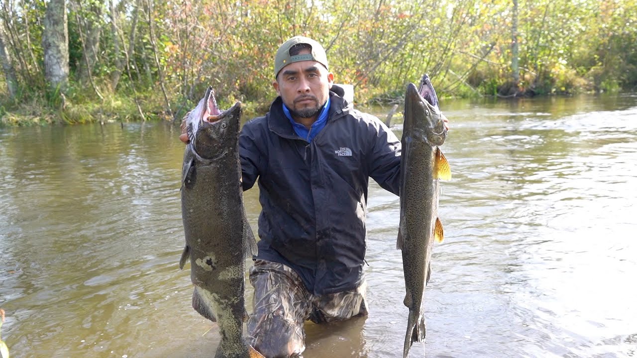 Pesca Y Cocina De Salmón Rey, En MICHIGAN - YouTube
