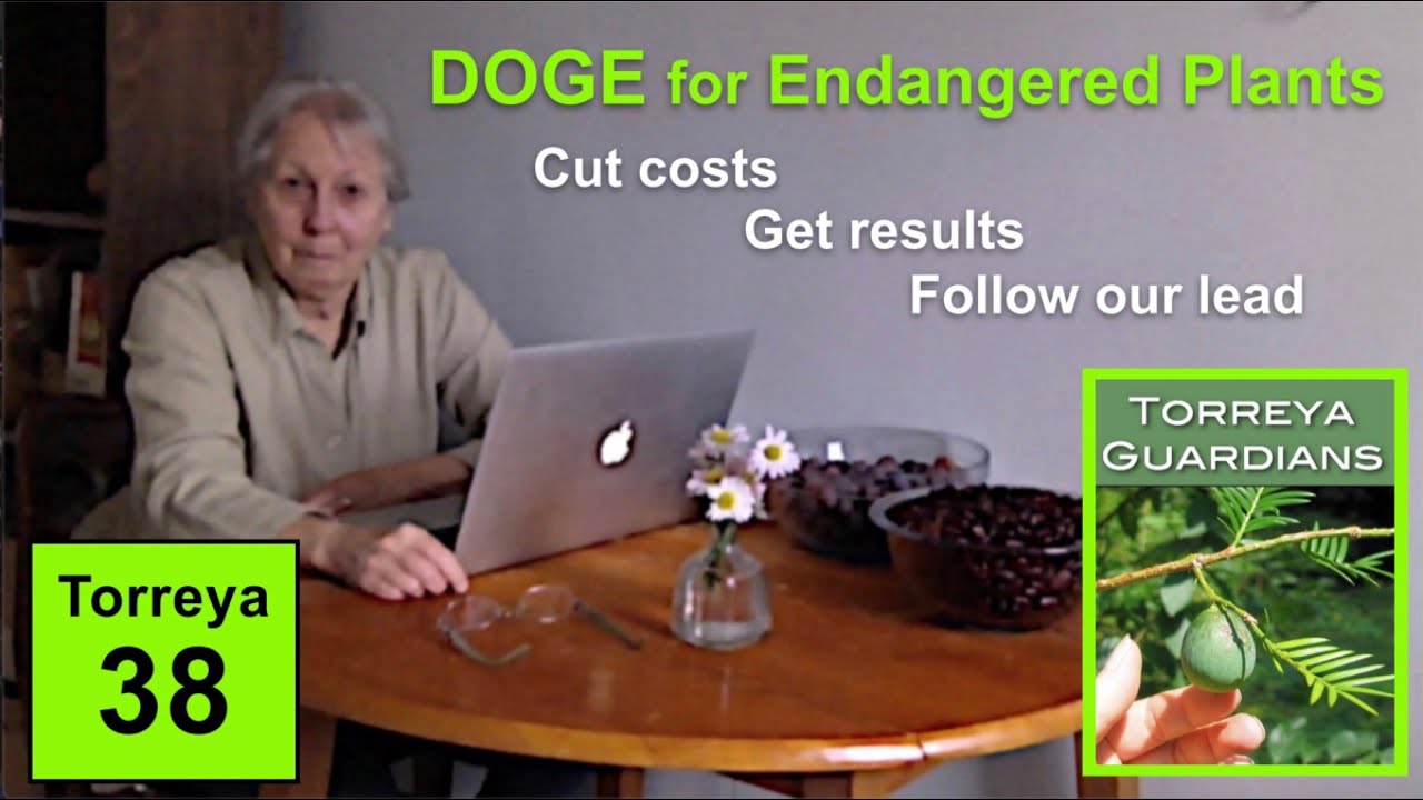 DOGE for Endangered Plants - Cut costs, get results, follow our lead ...