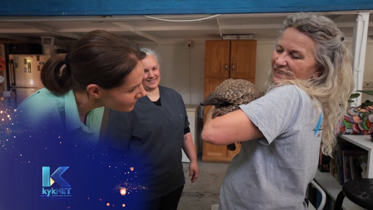 Ietermagog – Bewonder & Bewaar | S1 | Ep 12 | kykNET - YouTube