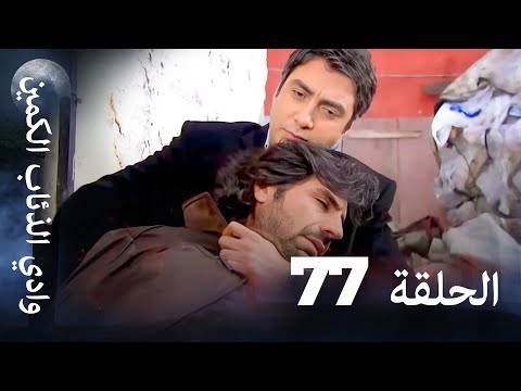 وادي الذئاب الكمين - الحلقة 77 بجودة عالية الدقة