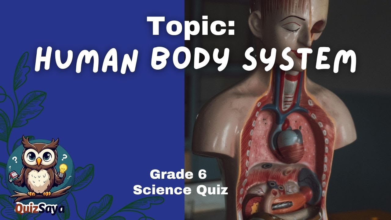 Grade 6 Science Challenge about Human Body Systems | Are you ready ...