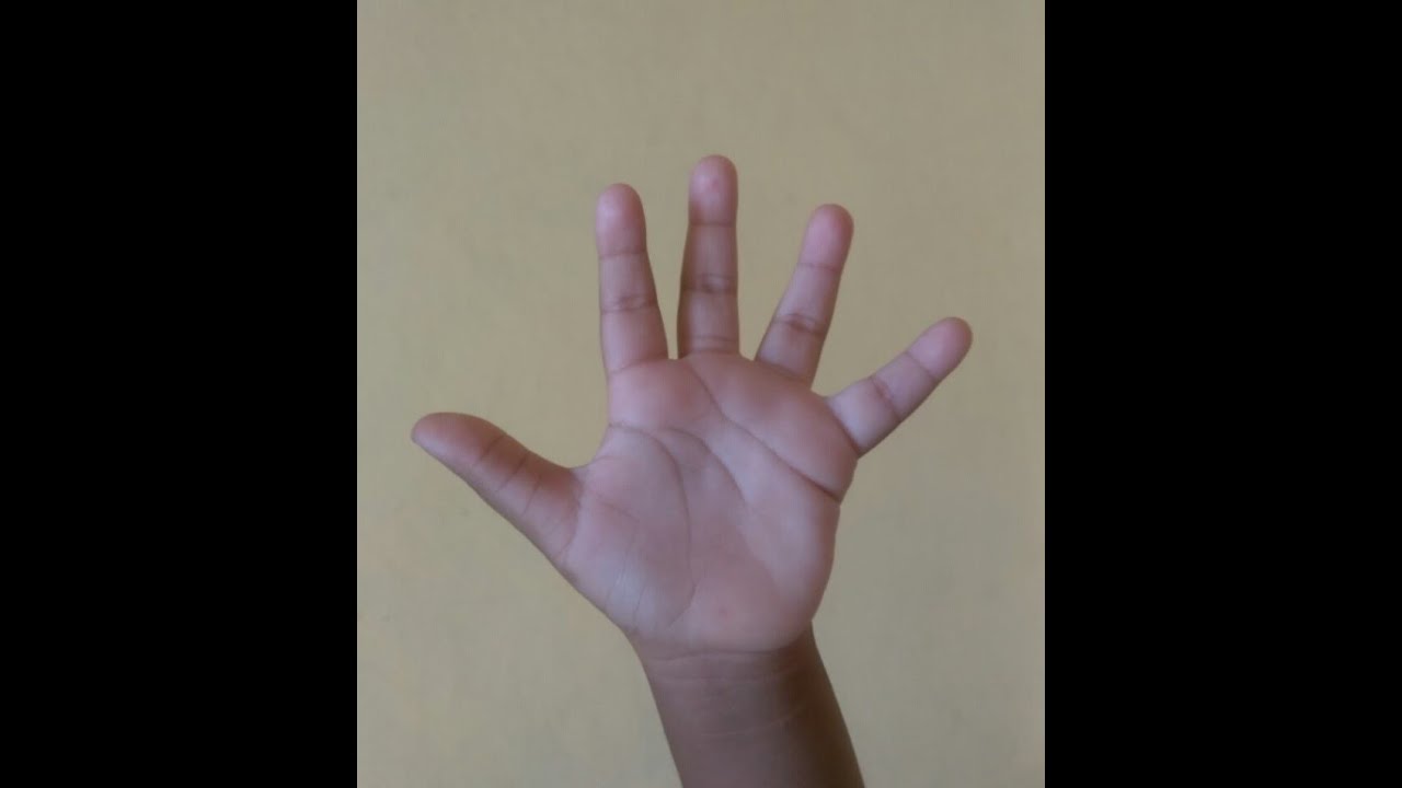 Les cinq (5) doigts de la main - YouTube