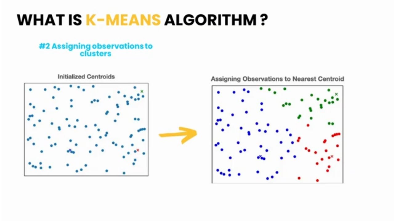 Project 1: Penguin Data Clustering with K-Means, Silhouette Scores, and ...
