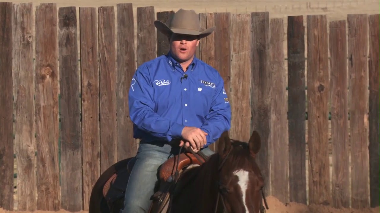 Casey Deary Show Ring Preparation - YouTube