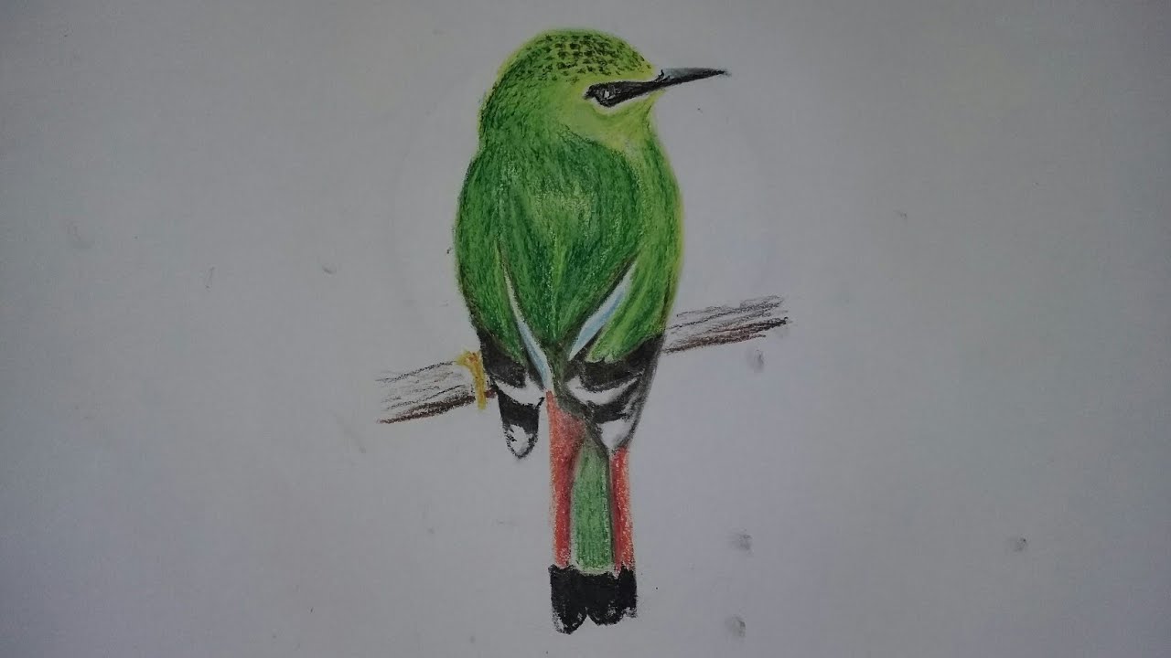Green bird drawing, இலகுவாக பறவை வரைவது எப்படி. - YouTube