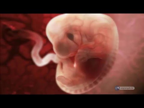 Şekil ve suret verilen her mahluk Musavvir ismine aynadır