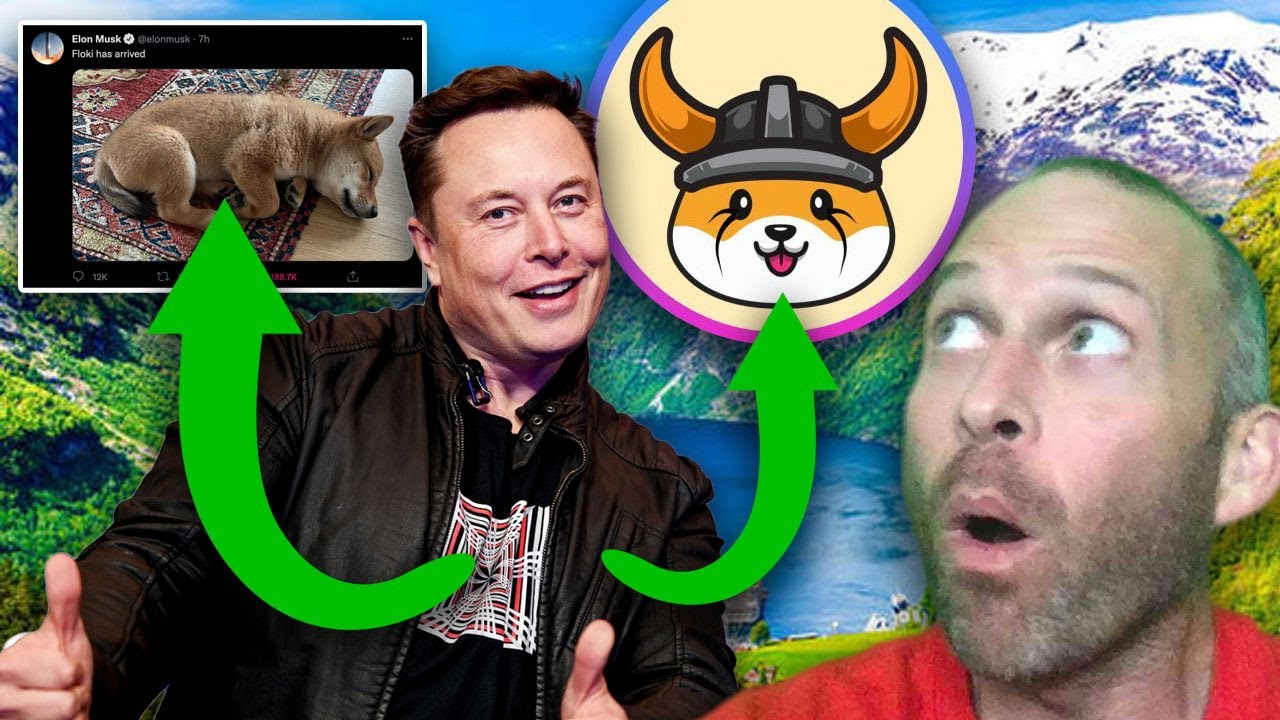 ELON BUYS FLOKI????? IS FLOKI INU THE NEXT SHIBA OR DOGE???? [dog meme ...