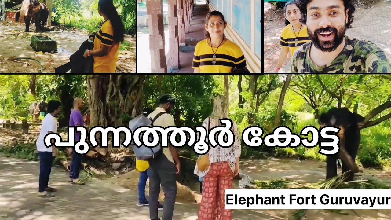 Anakotta Guruvayur - Elephant Fort - Punnathur Kotta - YouTube