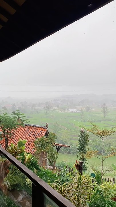 Suasana Syahdu Pedesaan ketika turun hujan di Bumi Kayu #hujandidesa #suasanapedesaan #rain ...