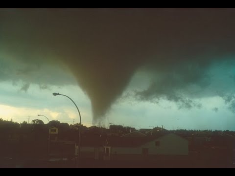 FURRY FEMBOY FLASKK - YouTube