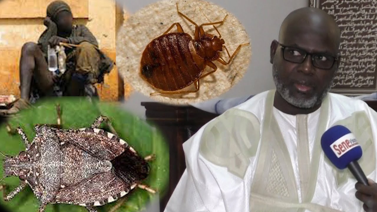 Allahu Akbarr Ndeké Rabou Matteu" punaise" day doflo waté, ak di Oumaté Par Elhadji Malick Gueye ...