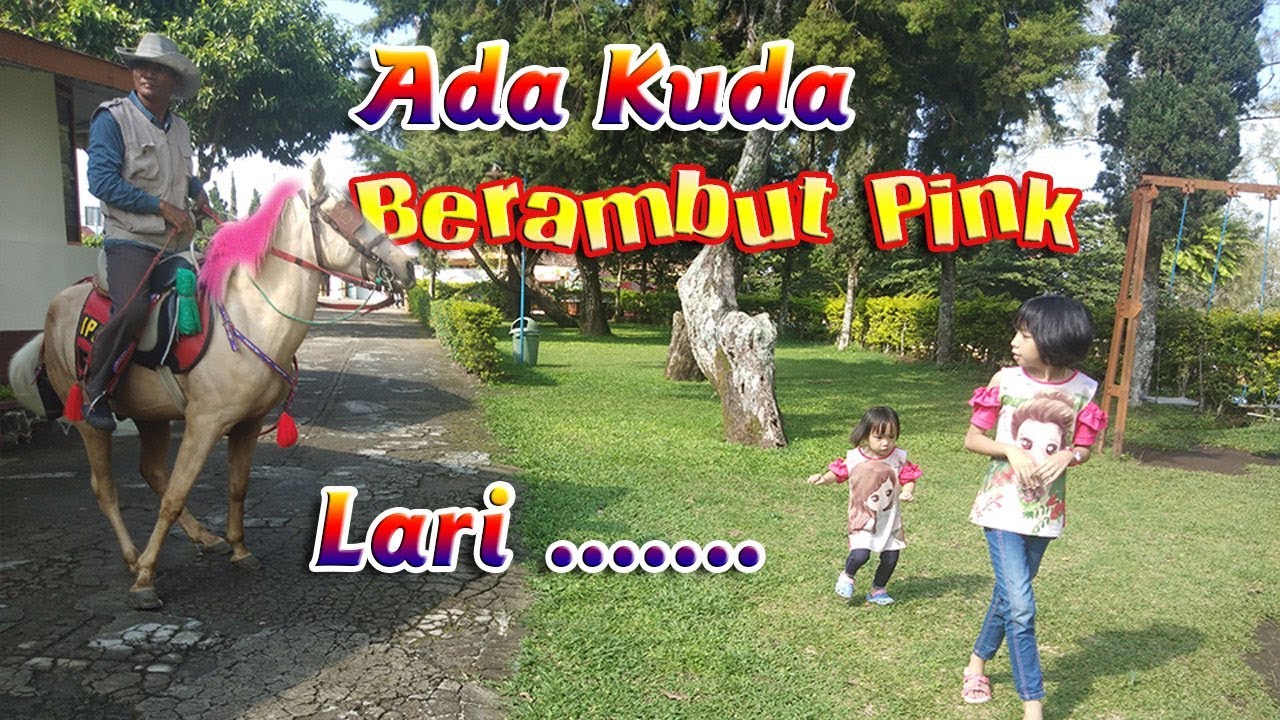 Lari ada Kuda berambut Pink - YouTube