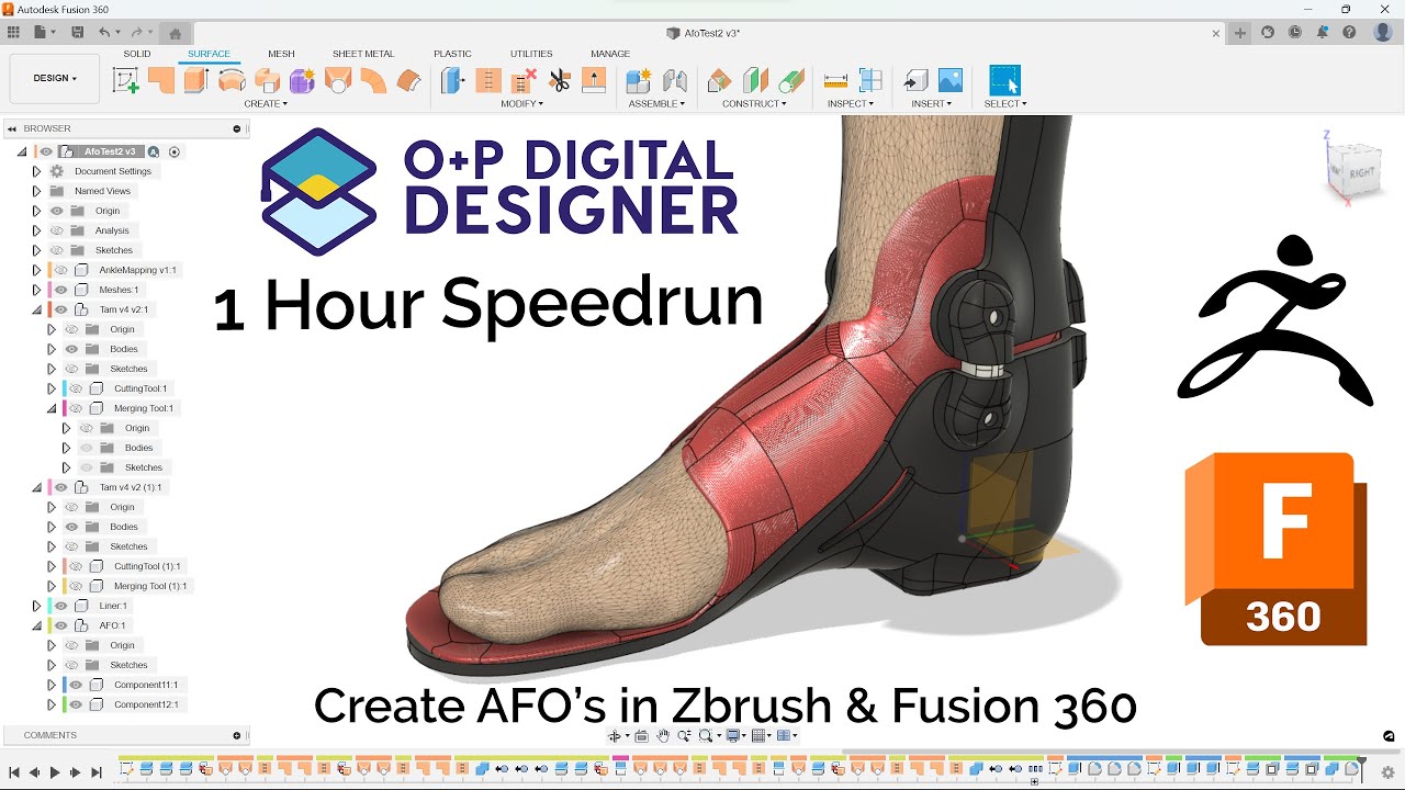 Creating an AFO Orthotic in Fusion 360 and Zbrush using O+P Digital ...