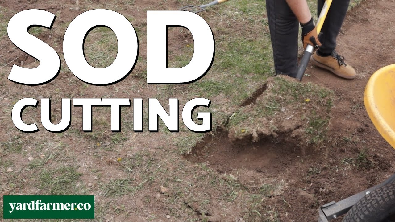 We RIPPED OUT an Entire Lawn with Sod Cutting (in Four Brutal Hours ...