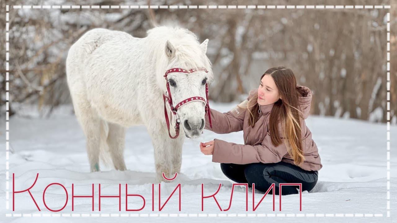 Конный клип - YouTube