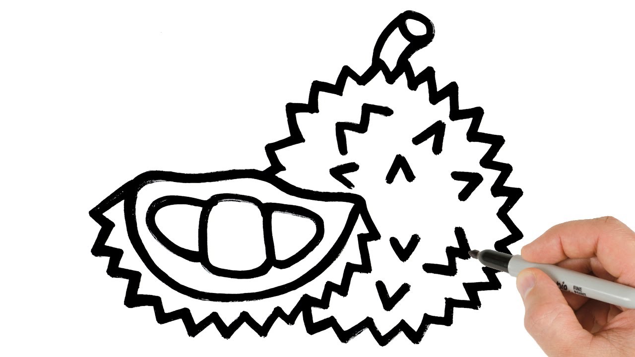 How to Draw Durian Easy Fruit Drawing Tutorial - YouTube