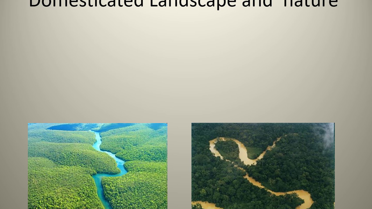 Lecture 18: Domesticated landscapes & views on "nature" - YouTube