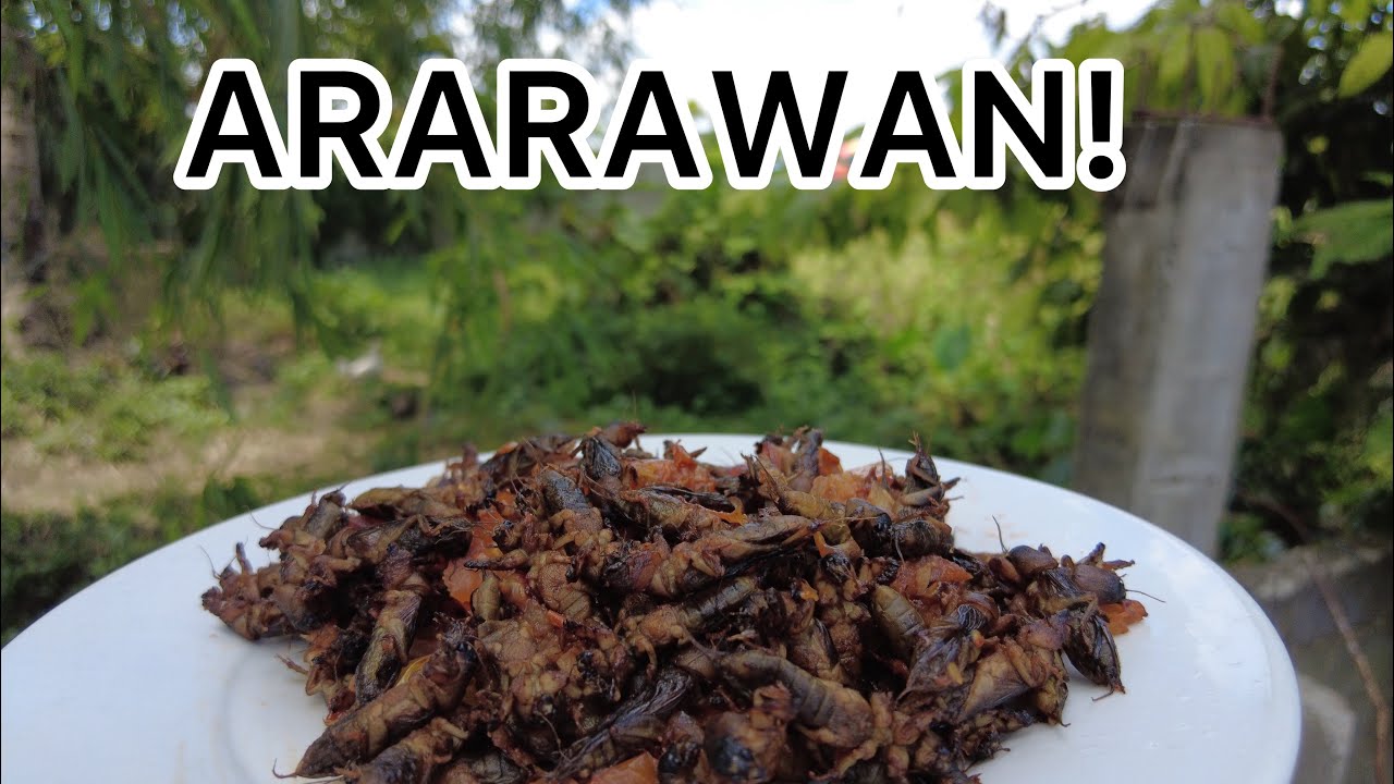 Eating ARARAWAN(kamaro/ mole cricket) Philippines exotic food😋😱 - YouTube