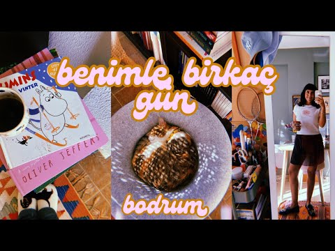 Benimle birkaç gün: çalışmalı & sosyalleşmeli günler / 2025’e kısa bir bakış & 2026 hayalleri