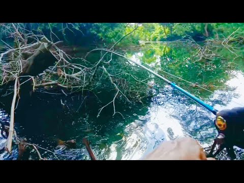 Casting HAMPALA di tumpukan ranting kayu - YouTube