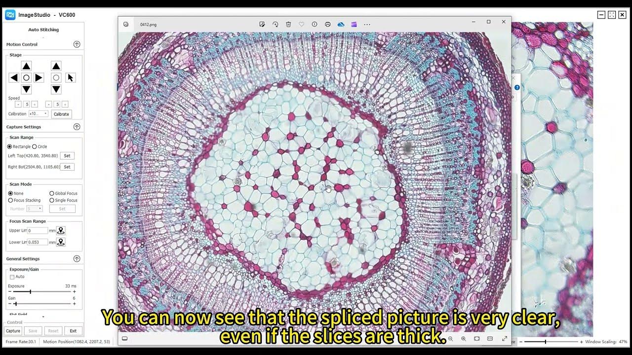 Auto Image Stitching, microscope image software, ImageStudio - YouTube