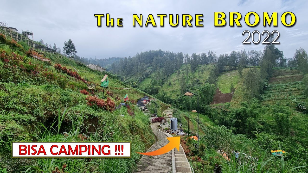 The NATURE BROMO, Bisa CAMPING murah di sini - YouTube