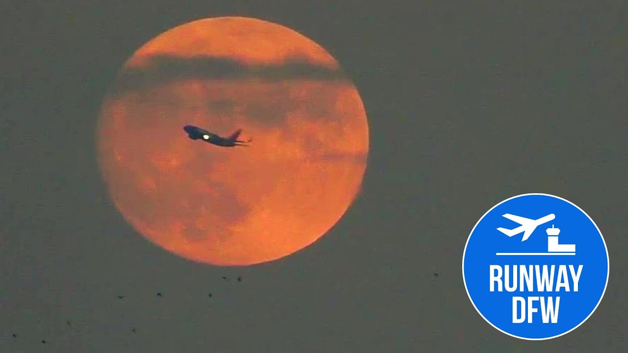 ️ Oct 08 2022 | 2 pm CDT 🔴 LIVE plane spotting @ DFW International ...