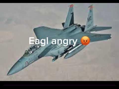 Eagl - YouTube