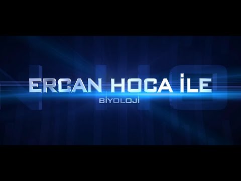 8) Endokrin Sistem - 2 (Ercan Hoca İle Biyoloji)