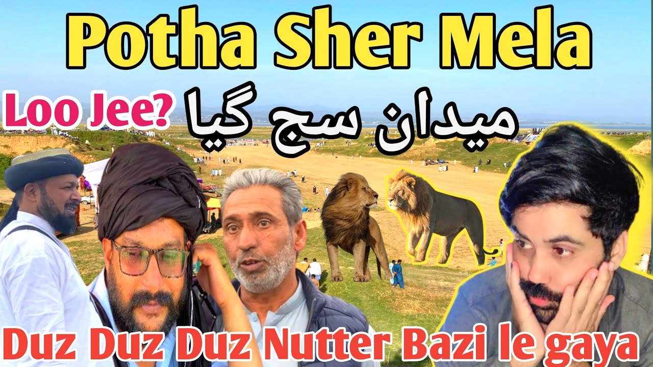 Loo Jee? میدان سج گیا || Potha Sher Mela ||Bail race door in Potha shar ...